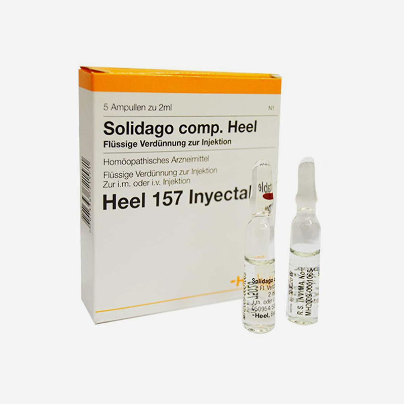 SOLIDAGO COMPOSITUM AMPOLLA X1 HEEL - Apoteka Natural